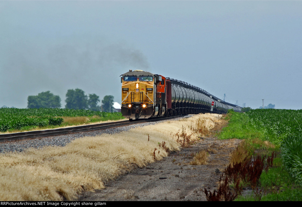 UP 6918 Leads a oil can train Across the corn fields!